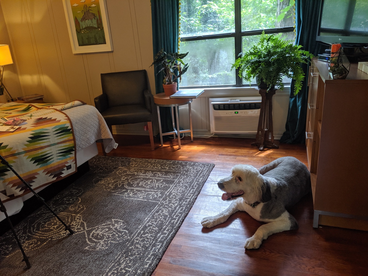 Places to Stay in Eureka Springs with Kids - Eureka Springs Kids